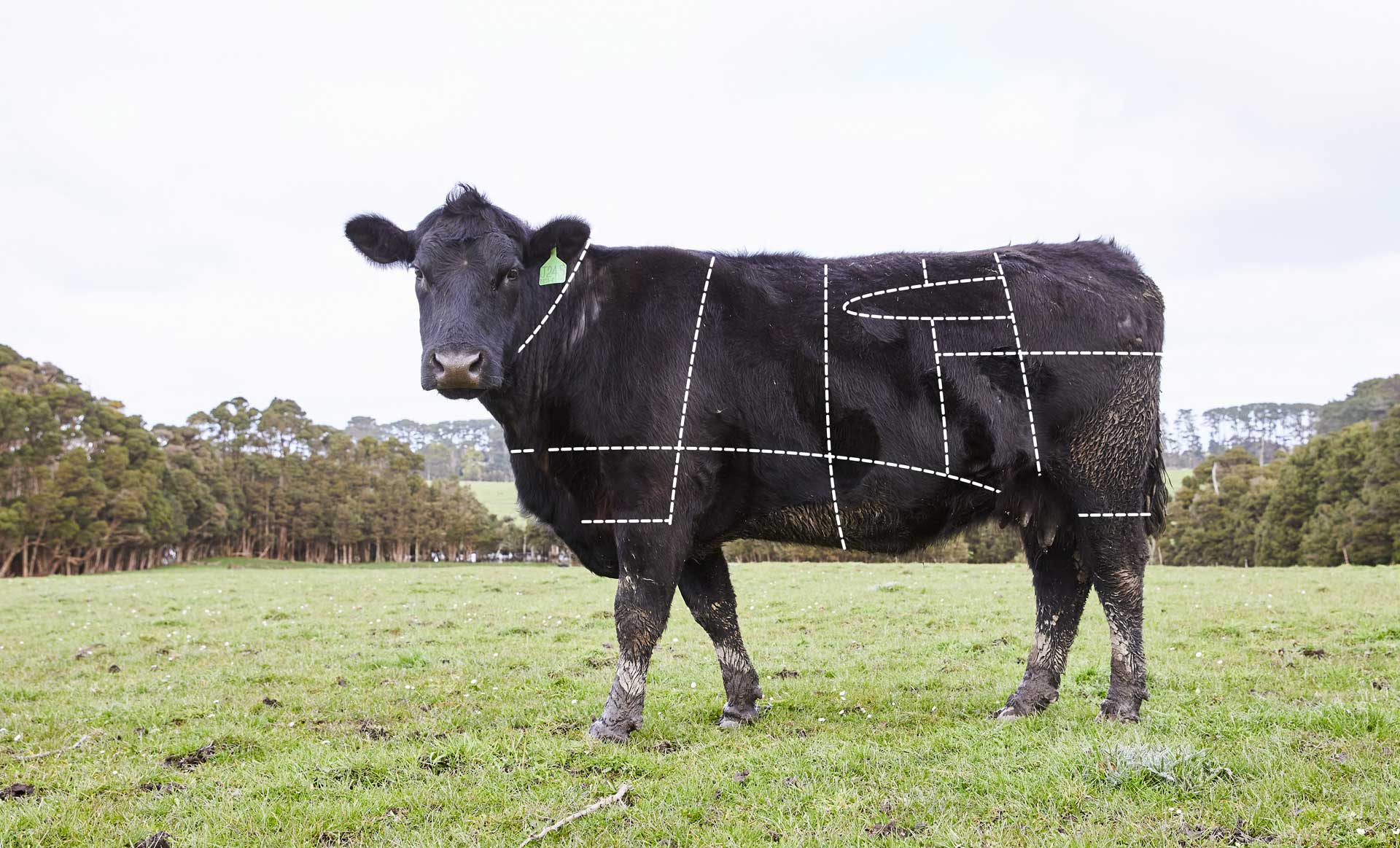 Philosophy - Raff Family Farm